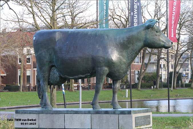 Ús Mem | KIJKEN NAAR BEELDEN